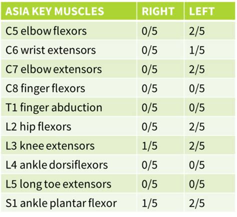 Sci Eval And Cervical Orthoses And Outcome Measures Flashcards Quizlet