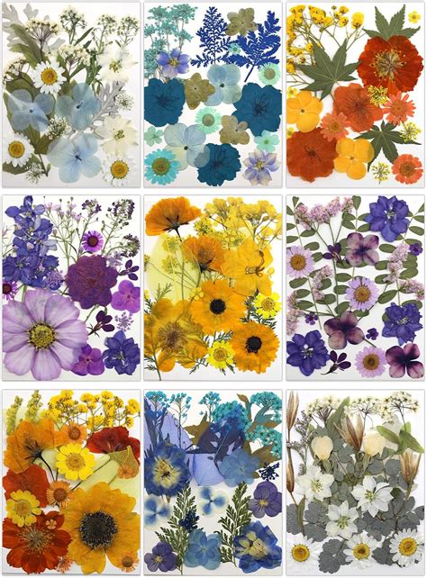 180pcs Dried Pressed Flowers Natural Dried Flowers Bulk