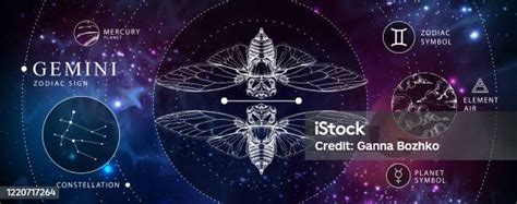 점성술 쌍둥이 자리 조디악 기호와 현대 마술 마술 카드 사실적인 손 그리기 나비 또는 매미 그림 조디악 특성 0명에 대한 스톡 벡터 아트 및 기타 이미지 Istock