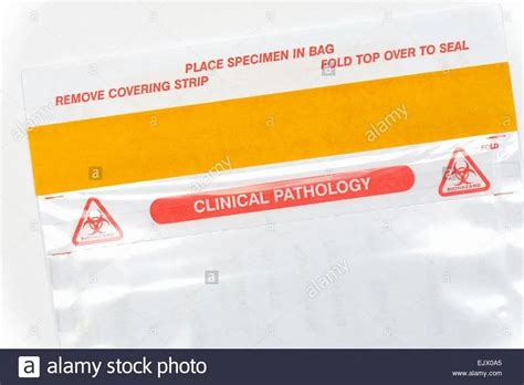 Janki White Paper Pathology Envelopes For Hospital At ₹ 120piece In