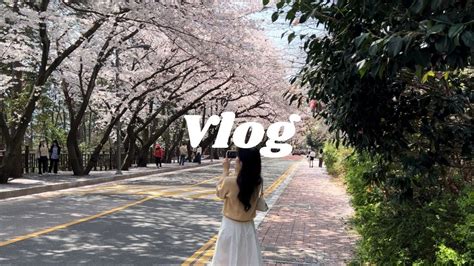 Vlog 벚꽃 절정인 부산에서의 1박 2일 워크샵 직장인 브이로그 마켓 비짓 파크 하얏트 부산 요트투어 조현화랑