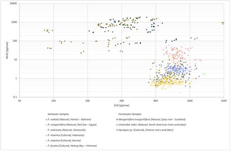 Binary Plot Of Sro Vs Mno Binary Plot Of Sro Vs Mno Download
