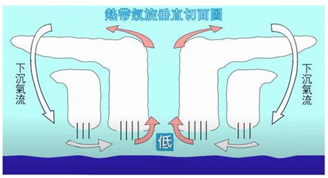 熱帶氣旋觸發的高溫與風暴潮｜香港天文台hko｜教育資源