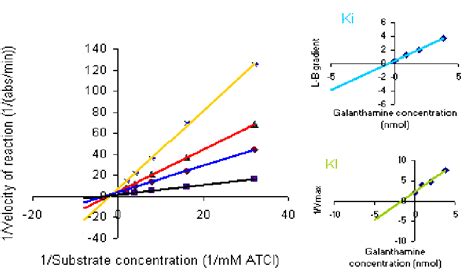 Lineweaver Burk Plot For Galanthamine 0 0 955 1 91 And 3 82 Nmol Download Scientific