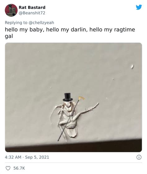 Texas Woman Shares How Her Landlord Painted Over A Roach And The