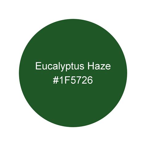 Eucalyptus Haze · Theme
