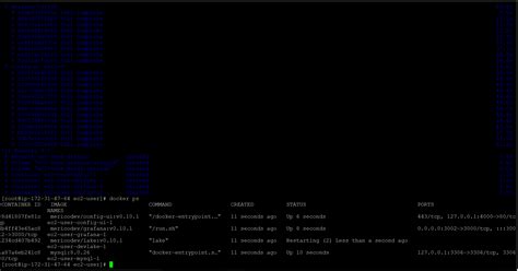 Bug Docker Container Keep Restarting · Issue 2454 · Apacheincubator Devlake · Github