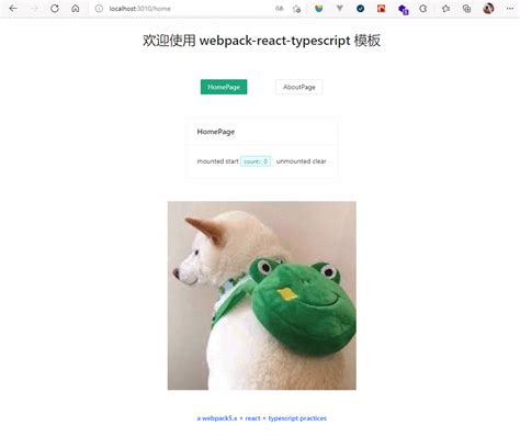 webpack react typescript构建一个标准化应用 小帅の技术博客