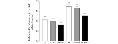 Adenovirus Mediated Transfection Of Ec With A Kinase Inactive C Src But