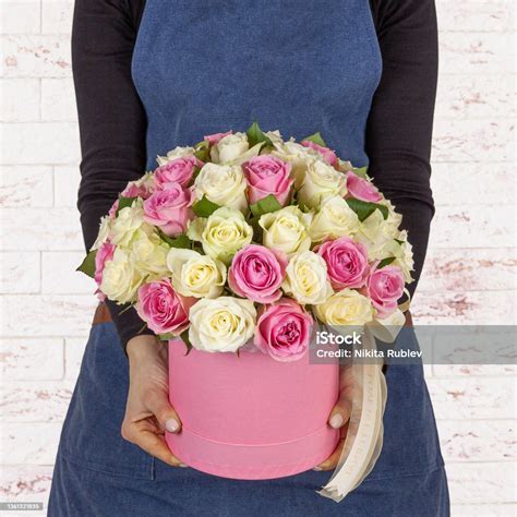 하얀 벽돌 벽에 흰색 배경에 고립 된 분홍색 바운드 상자에 큰 아름다운 꽃피는 흰색과 분홍색 장미를 들고 있는 젊은 여성 꽃집 꽃 식물에 대한 스톡 사진 및 기타 이미지
