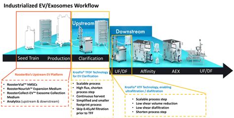Double Double Experts Huddle Cells And Bioprocess Bubble Roosterbio