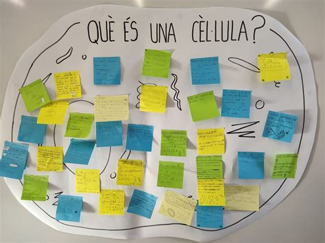Descobrim Les CÈl·lules Escola Les Escomes