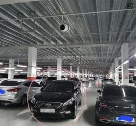 아파트 지하주차장 통로 막고 주차무개념 주차 공분