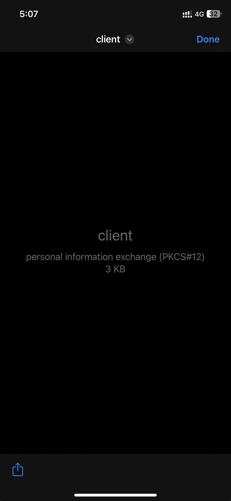 P12 File Not Showing In App After Selecting It · Issue 174