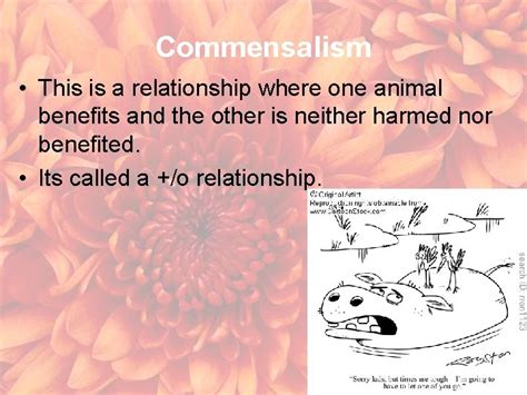 Unit A Biological Diversity Chapter 1 Biological Diversity