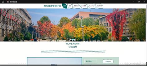基于ssmvue高校健康管理平台开题报告程序论文java Csdn博客