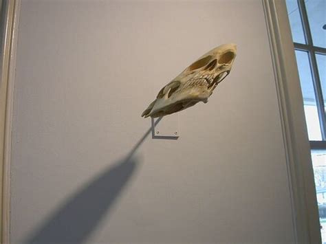 SCP XXXX SCP Foundation Amino