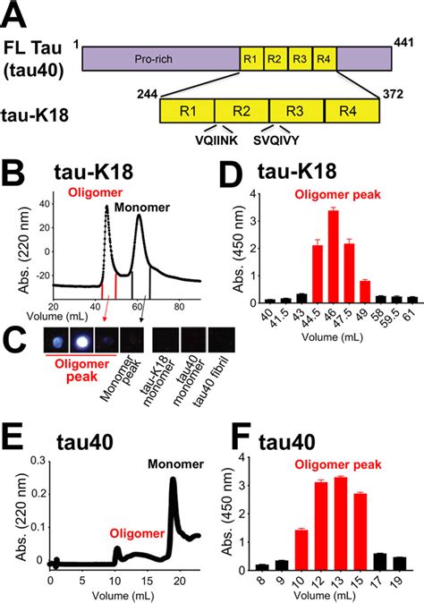 Crystal Structure Of A Conformational Antibody That Binds Tau Oligomers