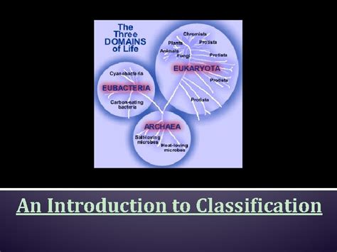 An Introduction To Classification Taxonomy The Science Of