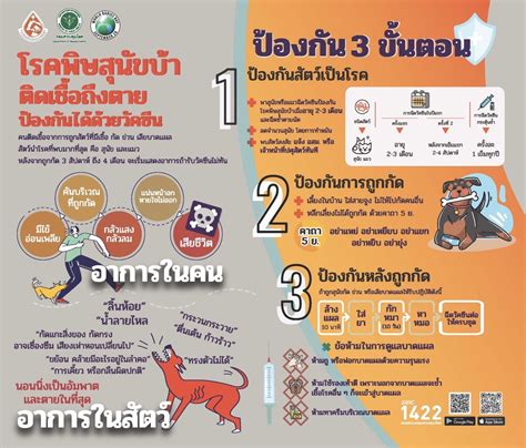 กรมควบคุมโรค สูตรเด็ด 3 ป กำจัดโรคพิษสุนัขบ้า