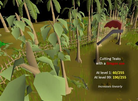 Osrs Fossil Island Teak Trees At Sam Hamby Blog