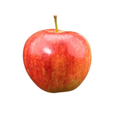 Veggipedia Sprank Appel