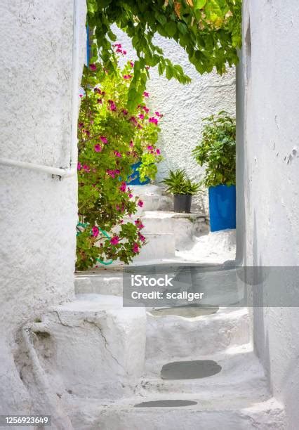 아나피오티카 플라카 지구 아테네 그리스에서 꽃과 식물이 있는 오래된 좁은 거리 플라카는 아테네의 관광 명소입니다 0명에 대한 스톡 사진 및 기타 이미지 Istock