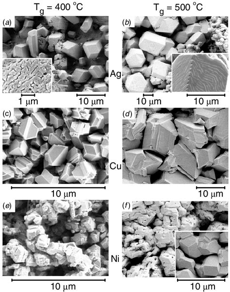 Scanning Electron Micrographs Of Samples The Polycrystalline Substrate Download Scientific
