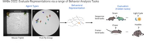 figure 1 from the mabe22 benchmarks for representation learning of