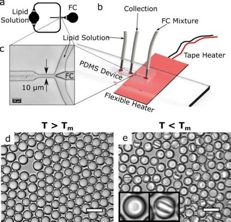 Acoustic Manipulation Of Endoskeletal Droplets On A Microfluidic Platform