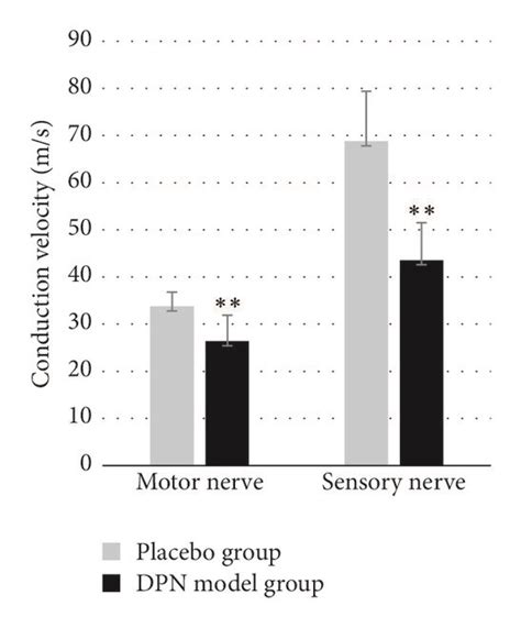 Analysis Of A Nerve Conduction Velocity B Nerve Conduction