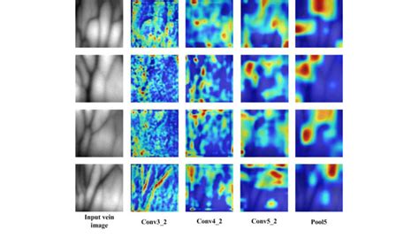 the visualization results of feature maps in some convolutional layers