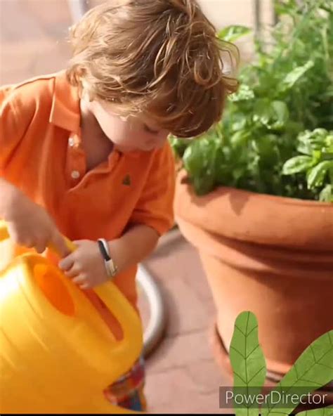 Video Oluwatobi Adefolaji On Linkedin Eyia Eyiaunique