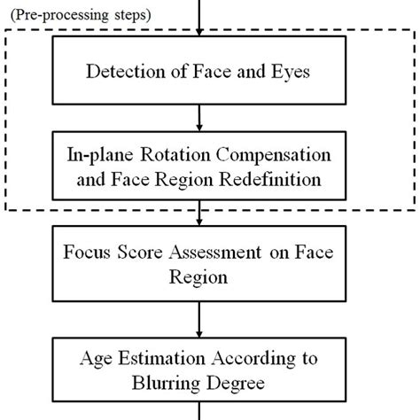 Overall Procedure For Age Estimation Method Download Scientific Diagram