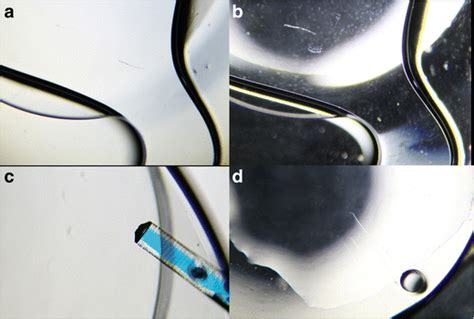 Light Microcopy A C And Phase Contrast Microscopy B D Of Acrylic Download Scientific