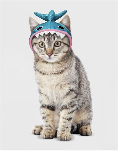 Shark Costumes For Cats