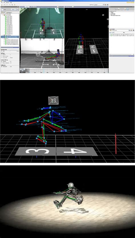 3 D Motion Capture Analysis With Vicon Software Download Scientific