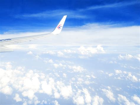 무료 이미지 항공기 푸른 하늘 화이트 구름 높은 고도 층 조직 비행기 여행 공기 호스 낮 분위기 여객기 항공 우주 공학 플랩 적운 차량