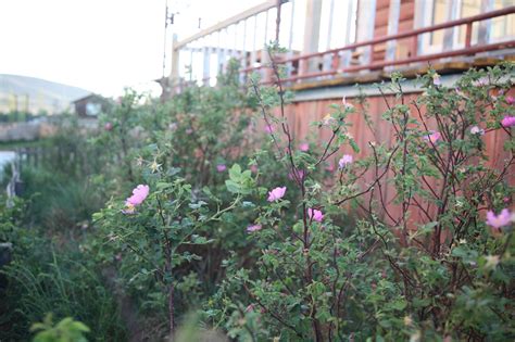 Арга Билэг сувилал