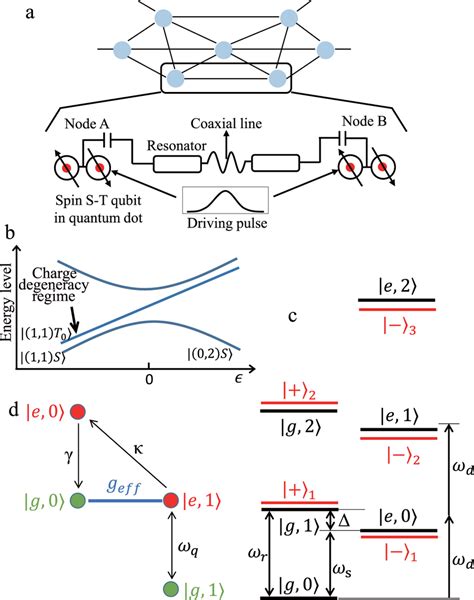 Spin Photon Modules For A Network Architecture A In The Envisaged Download Scientific