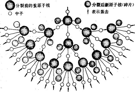 核武器 医学百科全书 核武器损伤与放射医学