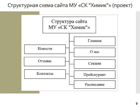 Маркетинговая деятельность профессионального спортивного клуба «Химик г Воскресенск Online