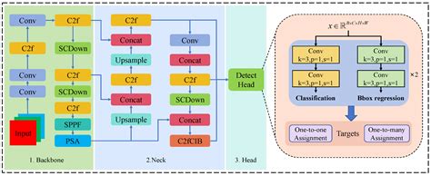 Pm Yolo A Powdery Mildew Automatic Grading Detection Model For Rubber Tree
