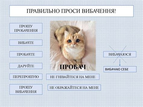 Основні правила спілкування Монологічне та діалогічне спілкування