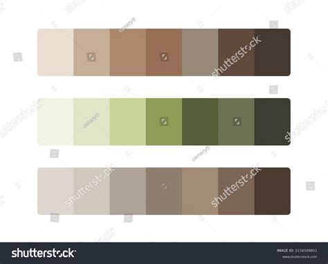 Matching Color Palette Guide Catalog Swatch Stock Vector Royalty Free 2156509851 Shutterstock