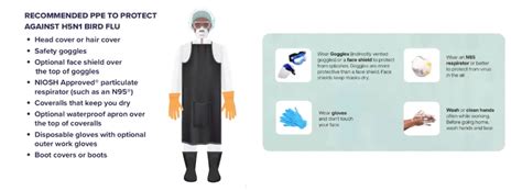 Your Bird Flu Questions Answered University Of California
