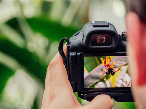 Youtubeの動画撮影におすすめのカメラ11選｜一眼とビデオカメラどっち？ Videolab