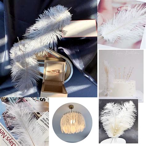 Badu Bg 10 бр Опаковка Чист цвят на щраусови пера Многофункционални реквизити за снимки