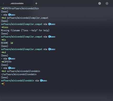 Wrong Display Of Prompt In Last Byte · Issue 669 · Spaceship Prompt
