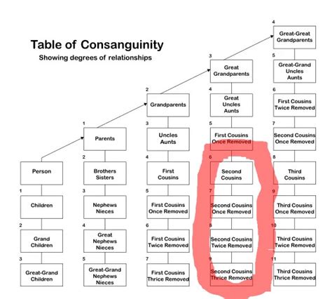 Is It Incest To Sleep With A Second Cousin Romance Nigeria